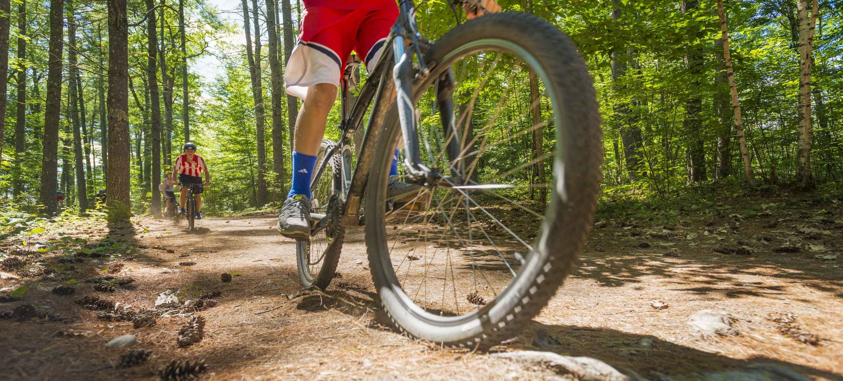 Summer Camp Programs for Children 7 to 17 | Camp Cody